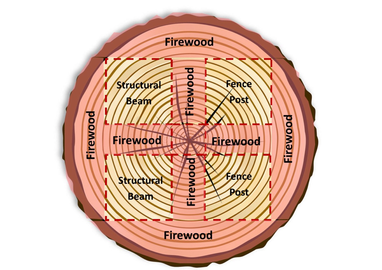 Wood fuel – Devon Timber