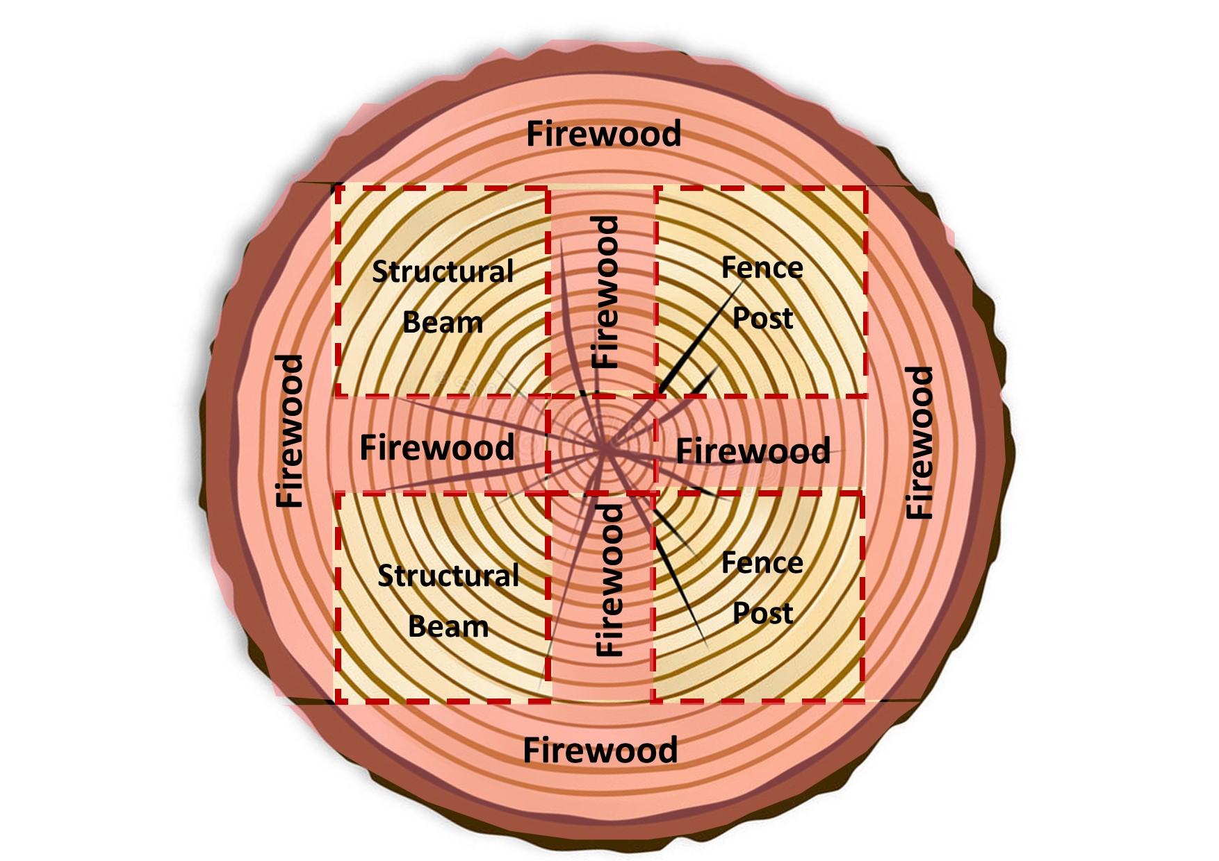 Wood fuel – Devon Timber