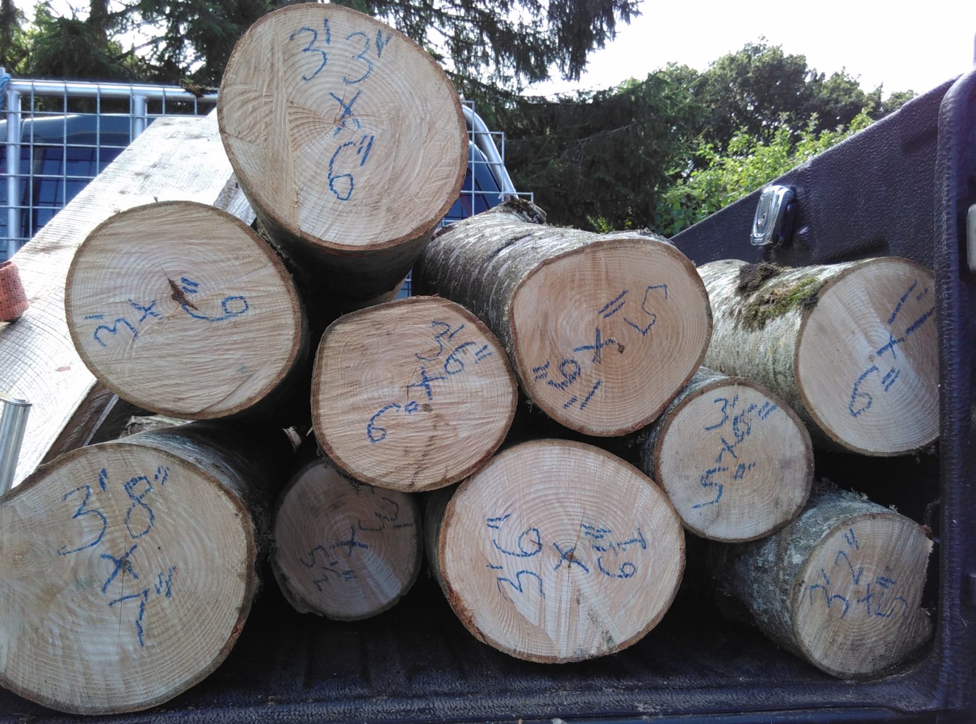 Green Timber – Devon Timber