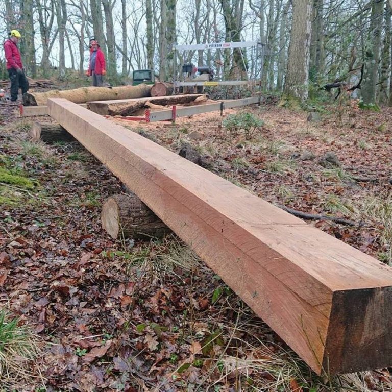 Green Timber – Devon Timber