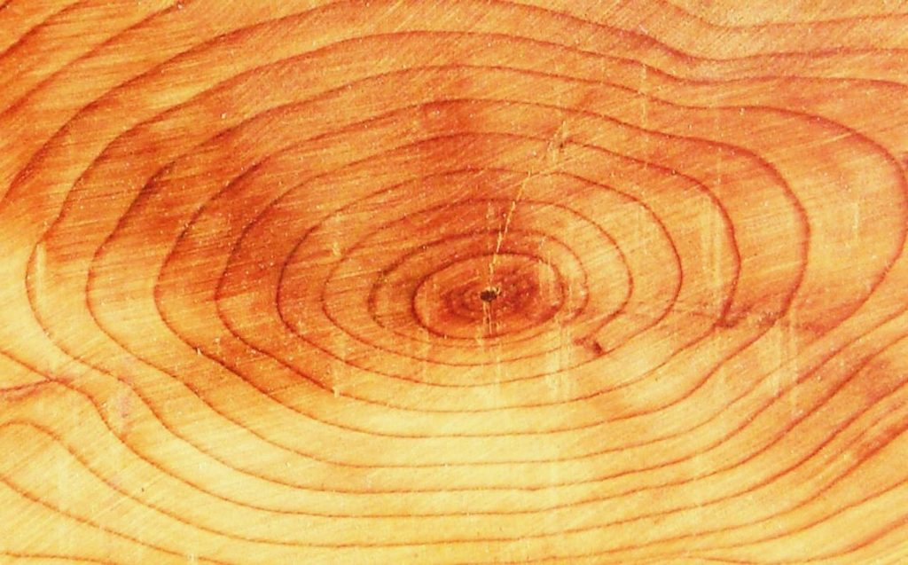 Softwoods – Devon Timber